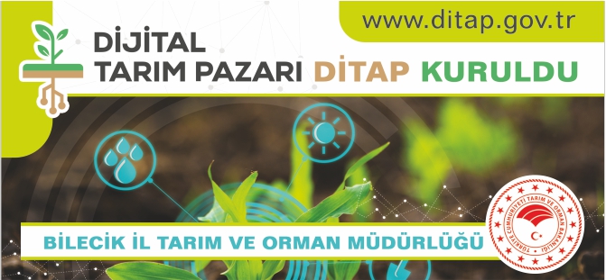 DİTAP - REKLAM